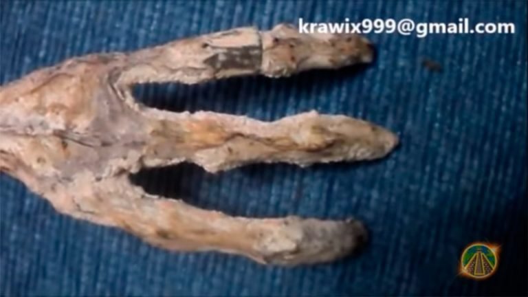 Las Momias Tridáctilas De Nazca No Son Un Mito Urbano
