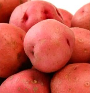 Algunos tipos de papas en Perú | 10 tipos de papas peruanas